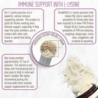 what is l-lysine for pets