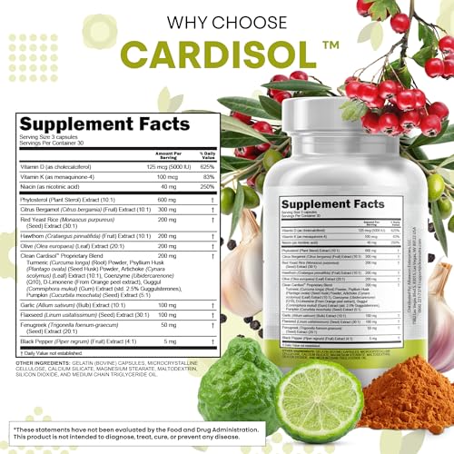 what is red yeast rice supplement