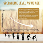 Wheat germ extract for healthy aging
