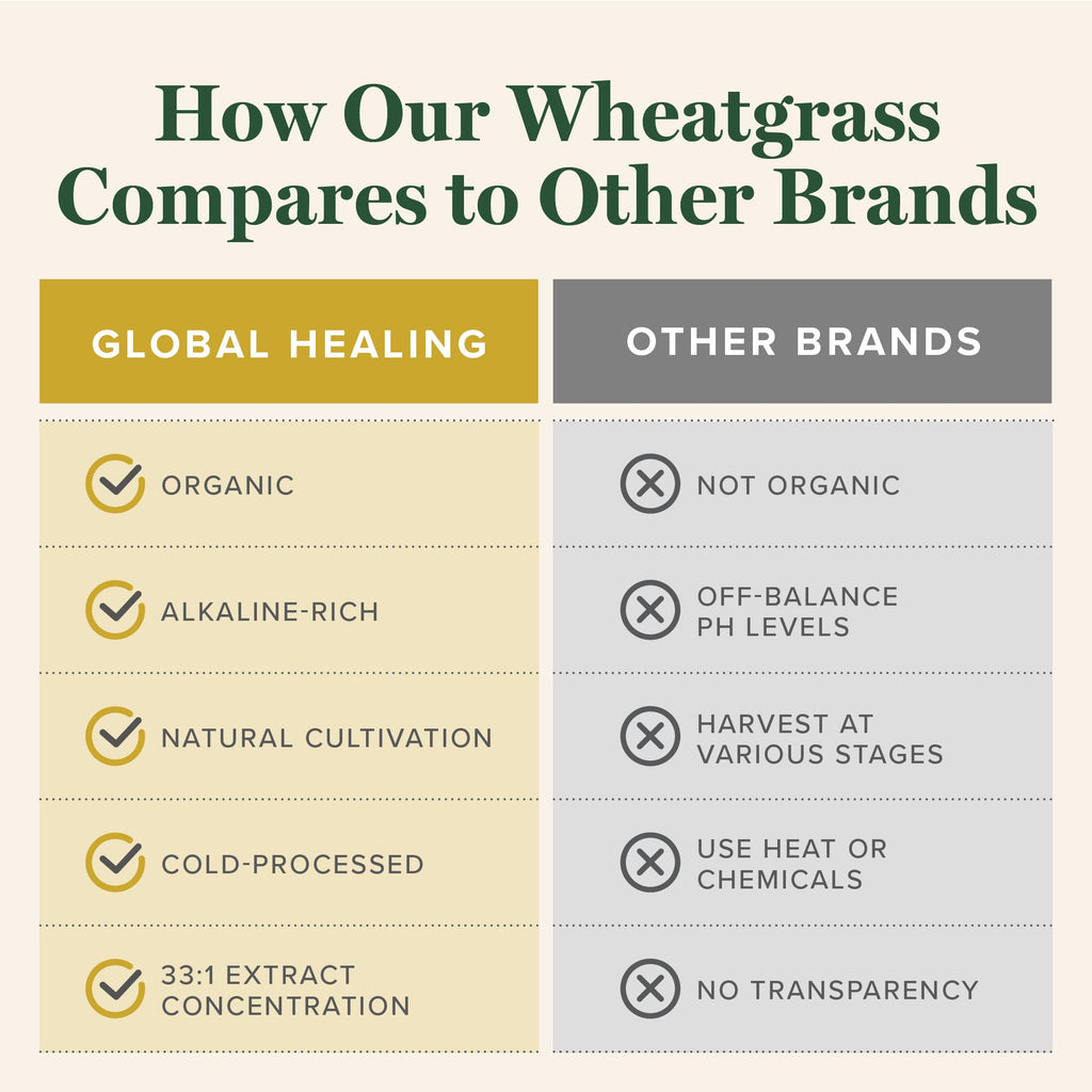 wheat grass powder for daily nutrition