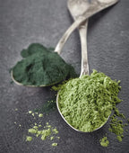 wheat grass powder for energy boost
