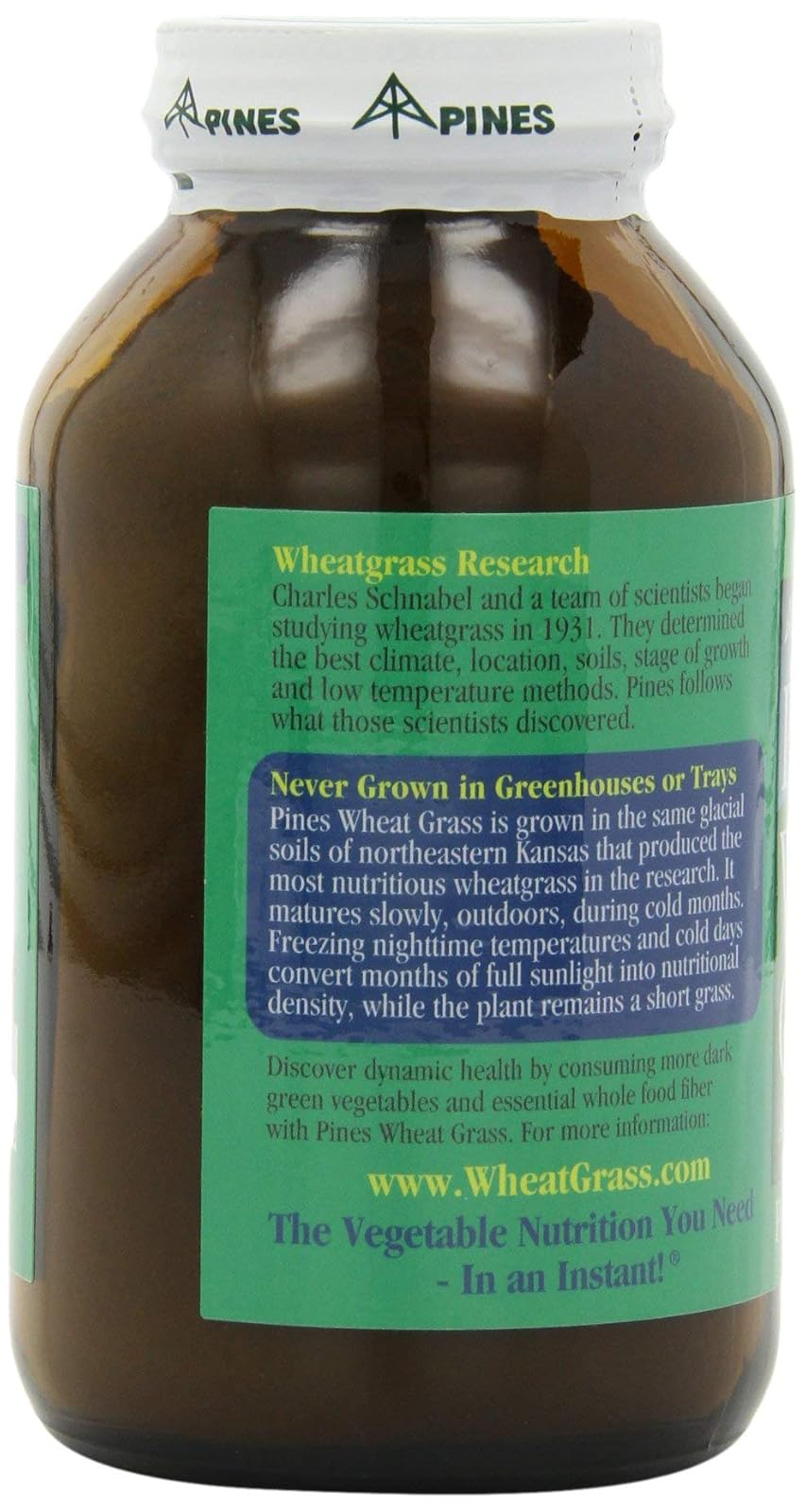 wheat grass powder for healthy digestion