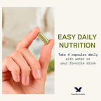 wheatgrass capsules for daily nutrition
