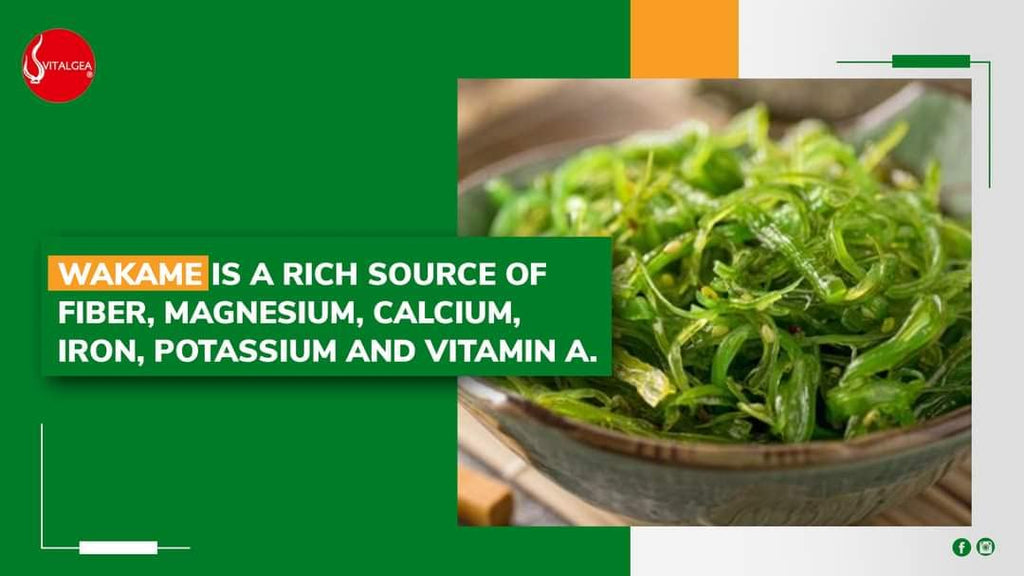wheatgrass capsules for detox and energy