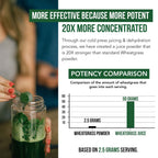 wheatgrass juice concentrate for health