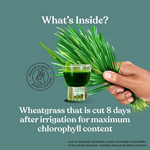 Wheatgrass juice energy booster