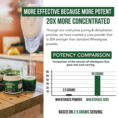 wheatgrass juice powder for detox