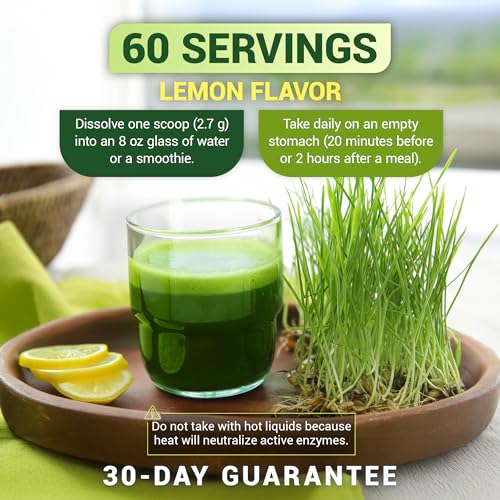 wheatgrass juice powder for immune support
