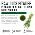 wheatgrass juice powder for smoothies