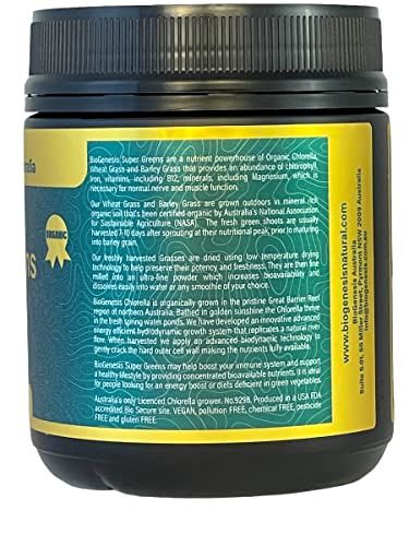 wheatgrass powder for daily nutrition