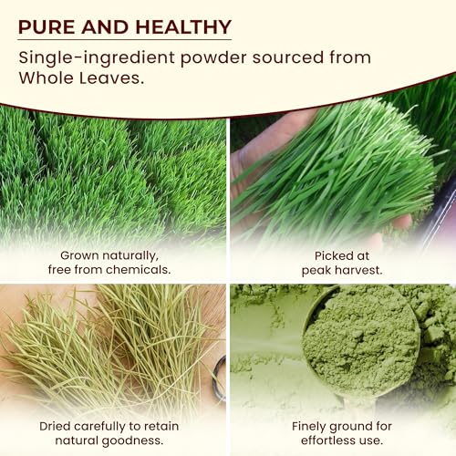wheatgrass powder for detox drinks