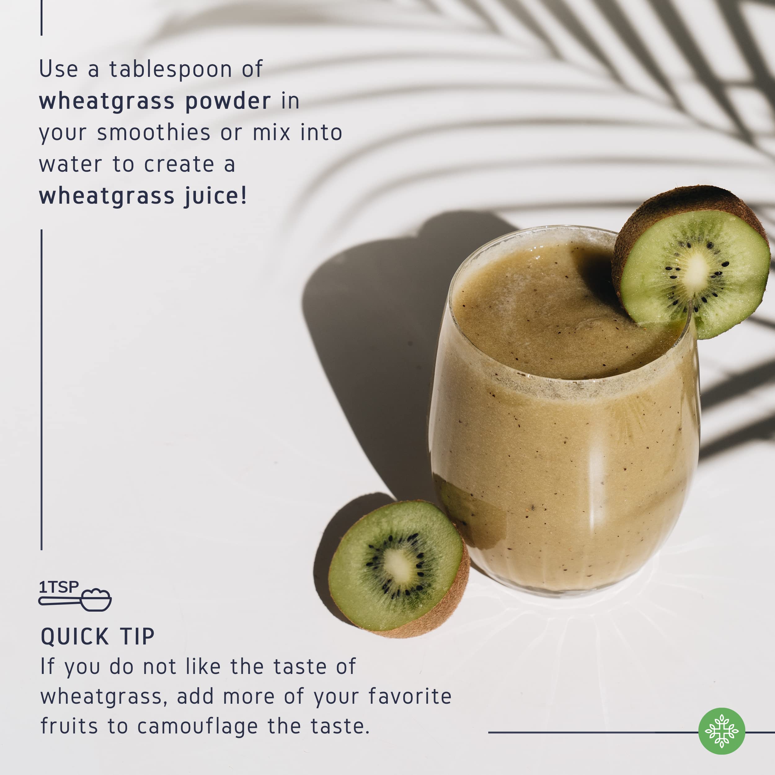 wheatgrass powder for digestive health