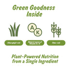 wheatgrass powder for healthy digestion