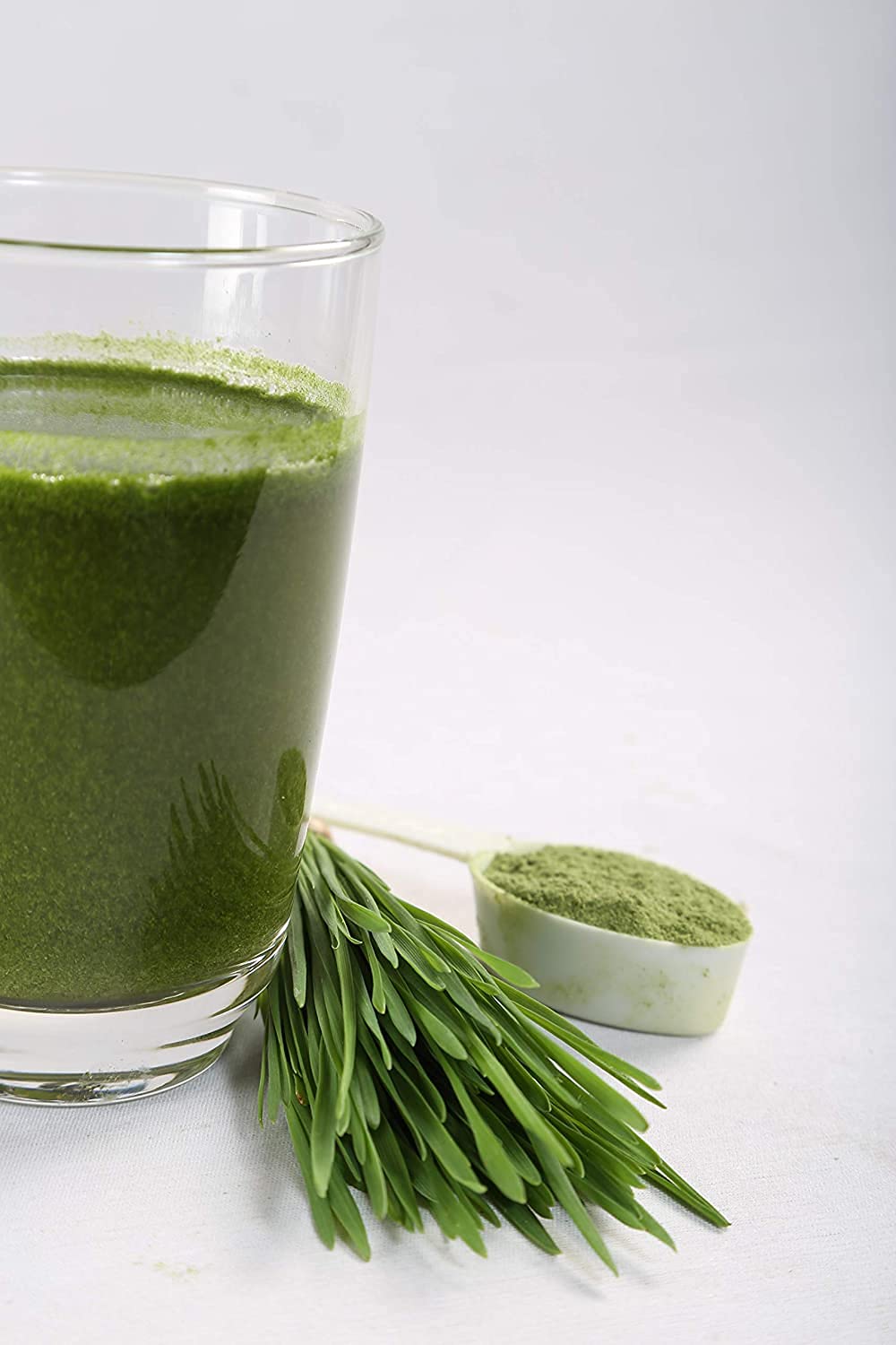 wheatgrass powder for healthy lifestyle
