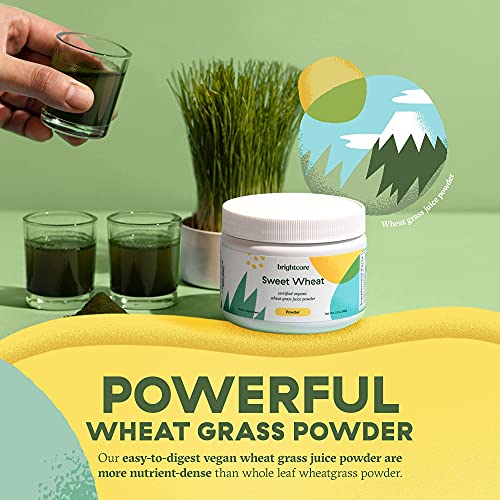 Wheatgrass powder for wellness