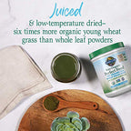 wheatgrass powder rich in vitamins