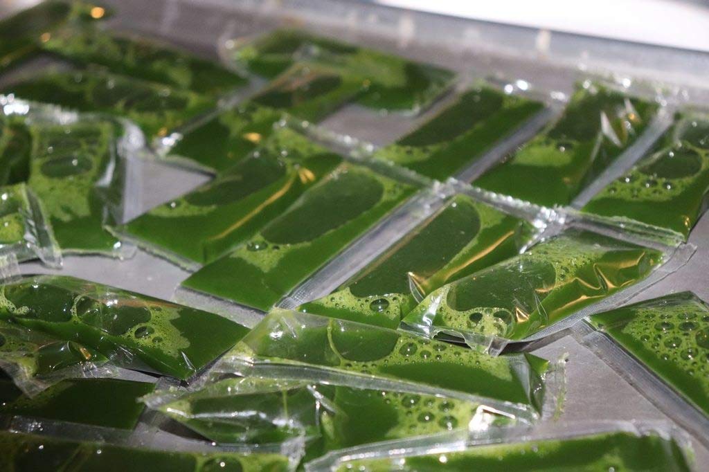 Wheatgrass Shots for daily wellness