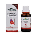 Wheezal Guatteria Gaumeri multivitamin drops