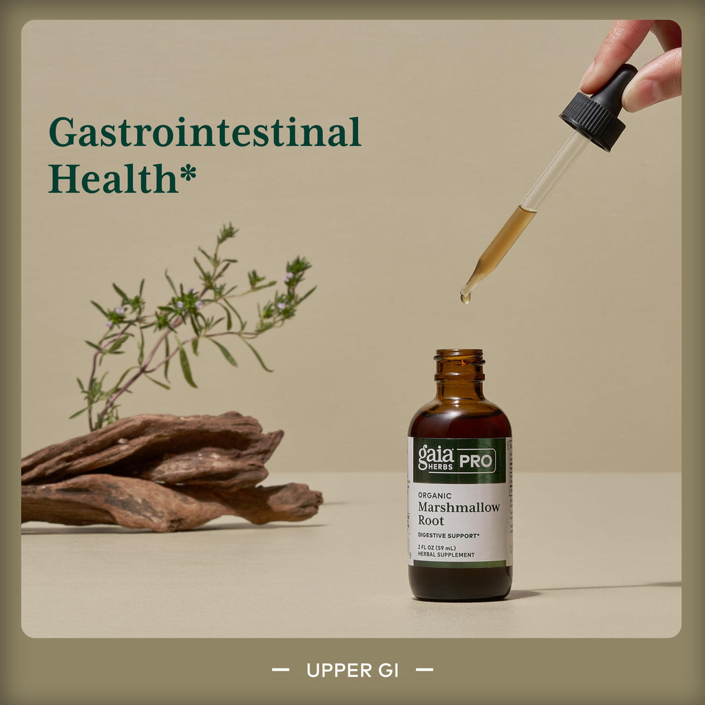where to buy marshmallow root supplements