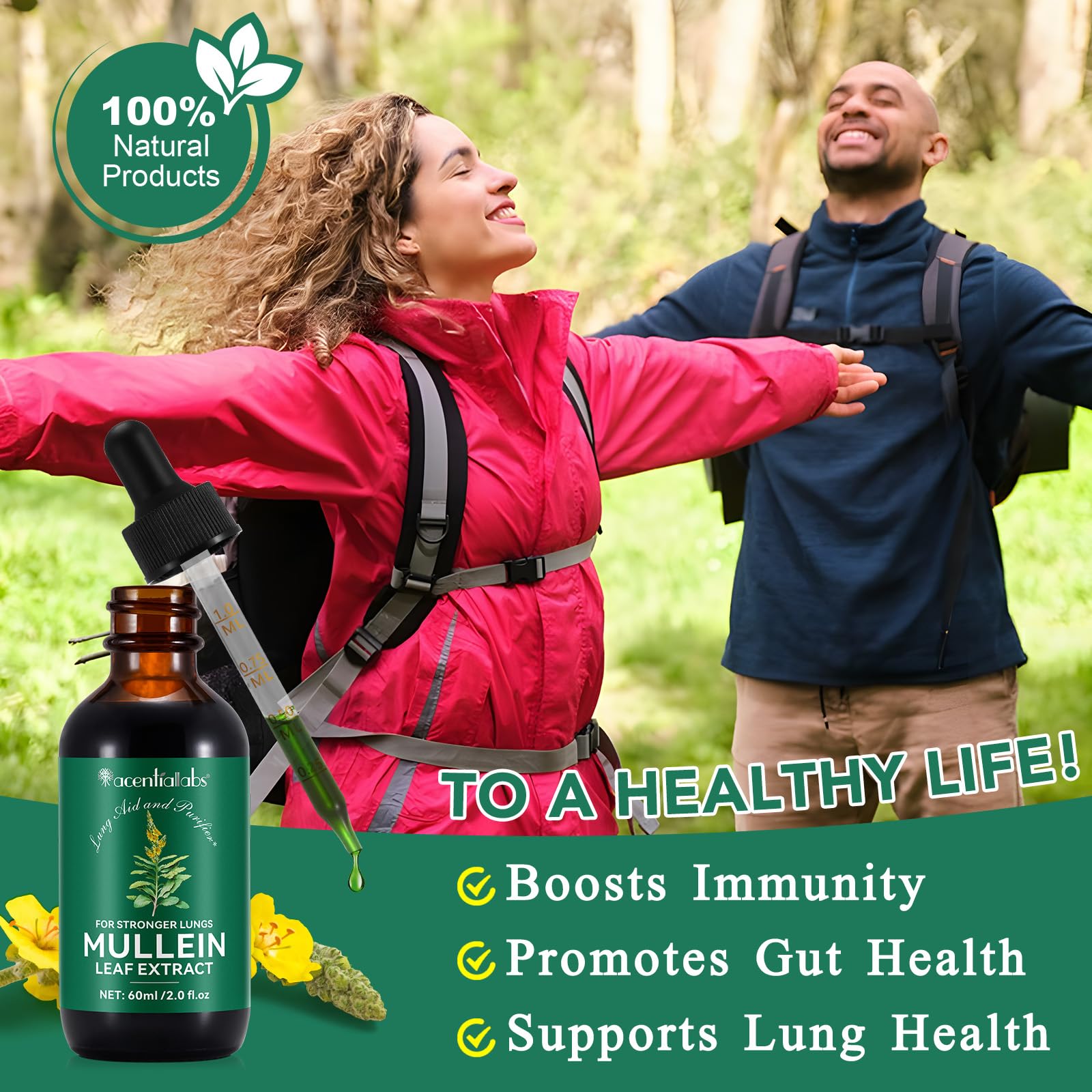 where to buy mullein drops online