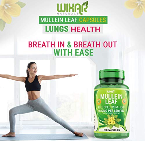 where to buy mullein leaf capsules