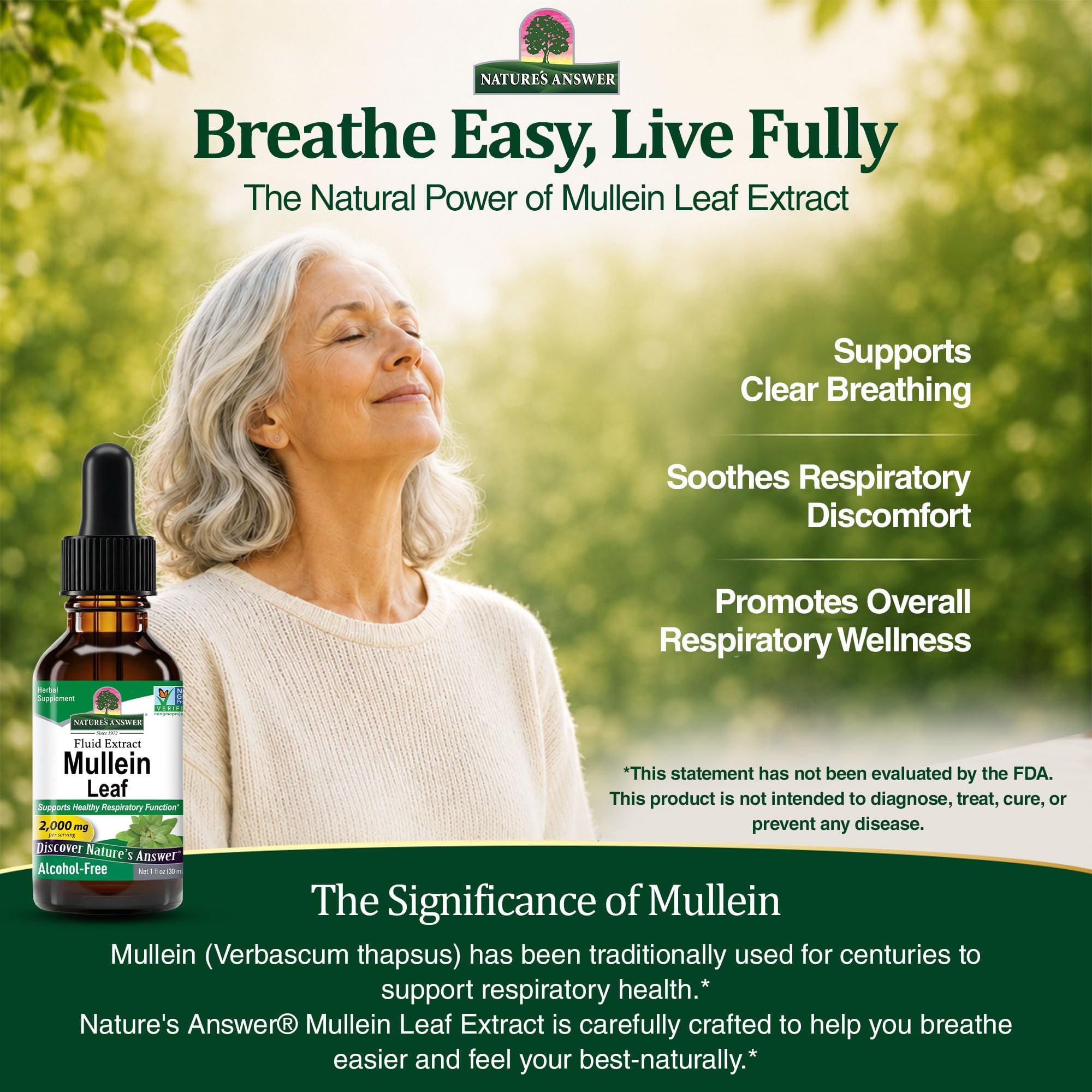 where to buy mullein leaf supplements