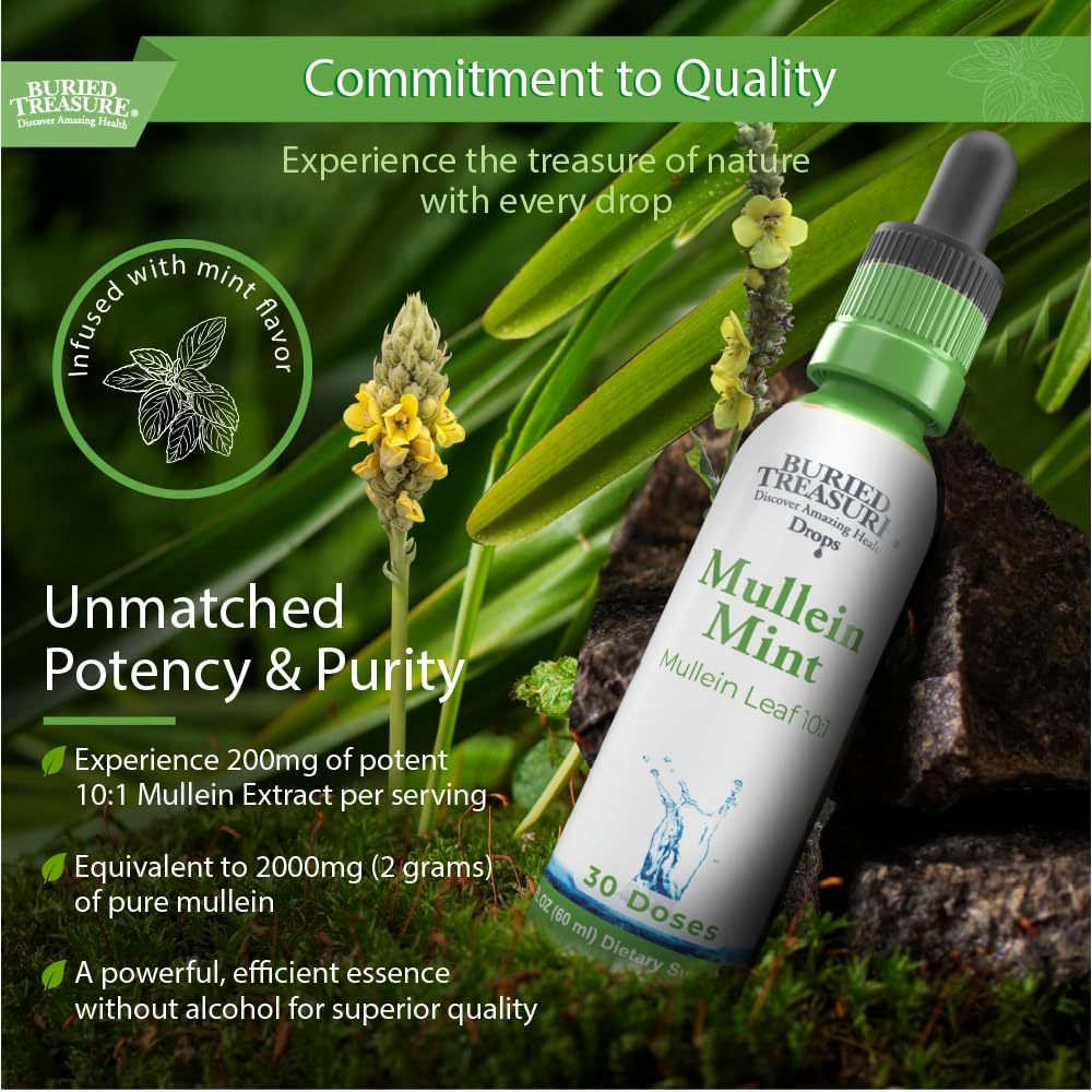 where to buy mullein supplements