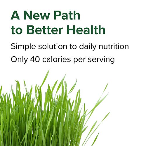 where to buy spirulina pills