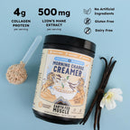 whey protein coffee enhancer