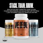 whey protein for fitness enthusiasts