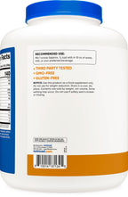 whey protein for muscle recovery