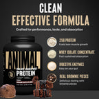 whey protein for muscle recovery