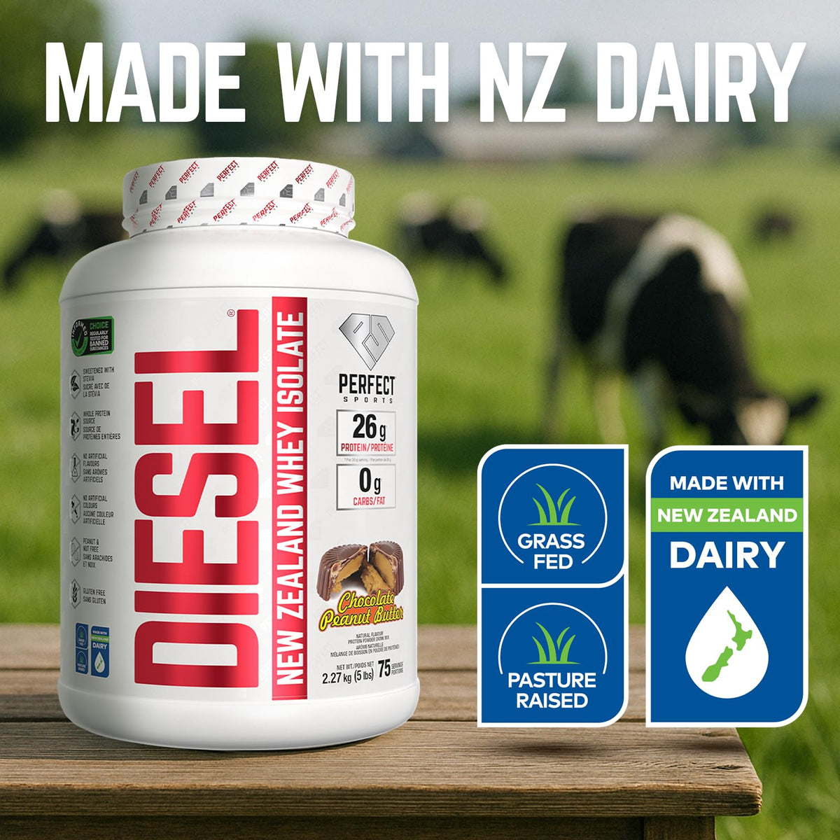whey protein for muscle recovery