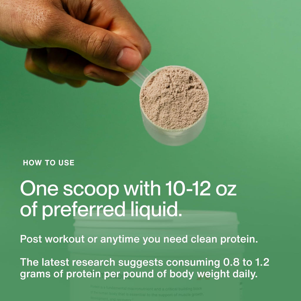 whey protein for muscle recovery