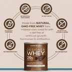 whey protein for muscle recovery