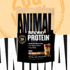 whey protein for muscle recovery