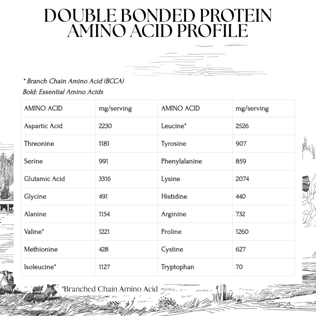 whey protein for muscle recovery