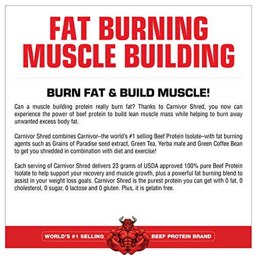 whey protein isolate alternative for athletes