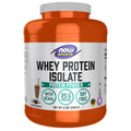 whey protein isolate creamy chocolate