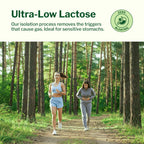 whey protein isolate for post-workout