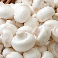 White button mushroom powder for cooking
