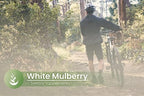 white mulberry leaf extract health benefits