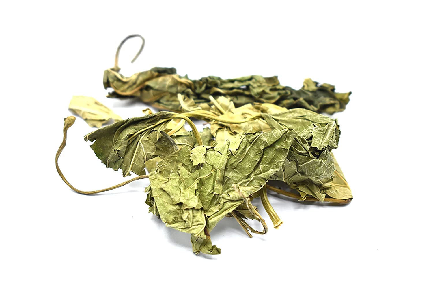 white mulberry leaf health support