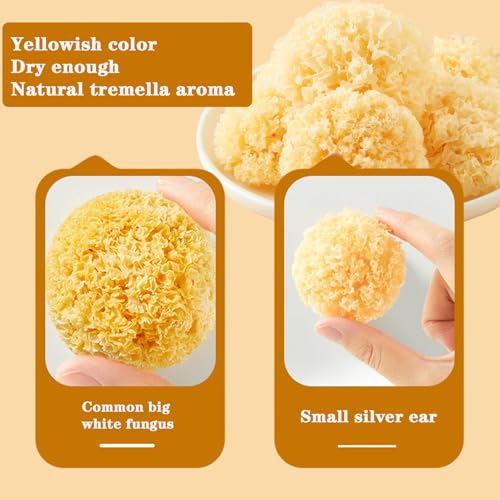 White snow fungus for traditional dishes