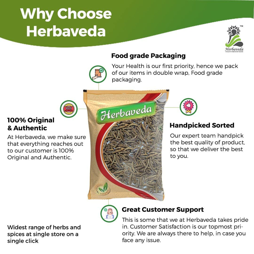 Whole Cordyceps for holistic health