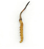 Whole Cordyceps Sinensis for daily wellness