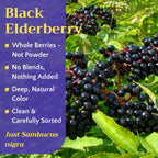 whole dried elderberries herbal benefits
