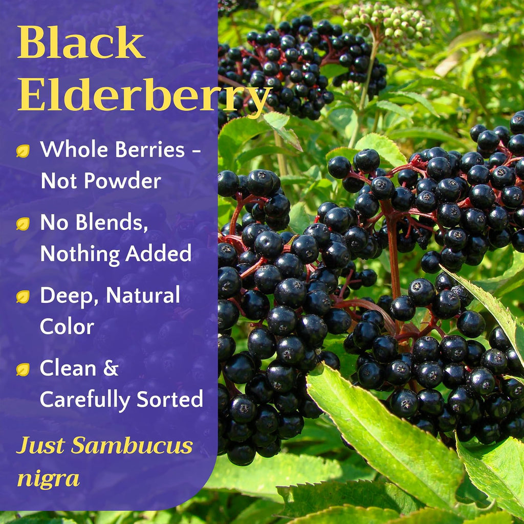Whole dried sambucus nigra benefits