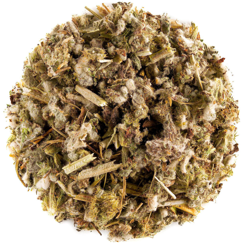 whole dried white horehound leaves