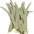 whole eucalyptus leaves for detox